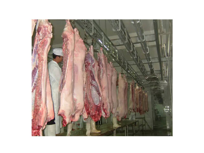 Pig Slaughter Process: Pork Carcass Chilling Explained - Cattle Slaughtering Equipment Supplier ...