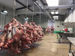 Tube pipe pulley hook carcass processing leg separated hooks sheep goat ...