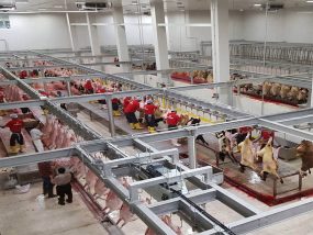 What are the most important structure of slaughter workshop/line?