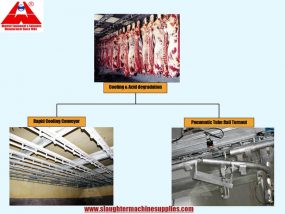 The Most Comprehensive & Detailed Cattle/Cow Abattoir Slaughter ...