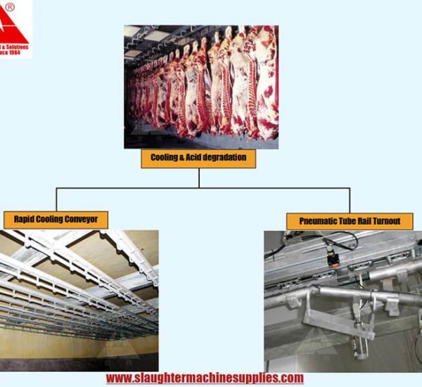 Cattle Slaughter Line Archives - Page 3 of 6 - Cattle Slaughtering ...