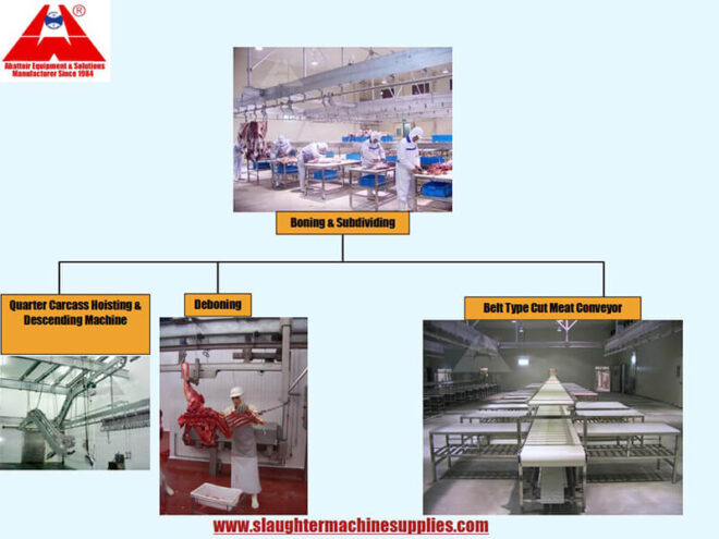 The Most Comprehensive & Detailed Cattle/Cow Abattoir Slaughter ...